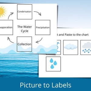 Water Cycle Activity Worksheets: Toddler Homeschool Printable (digital ...