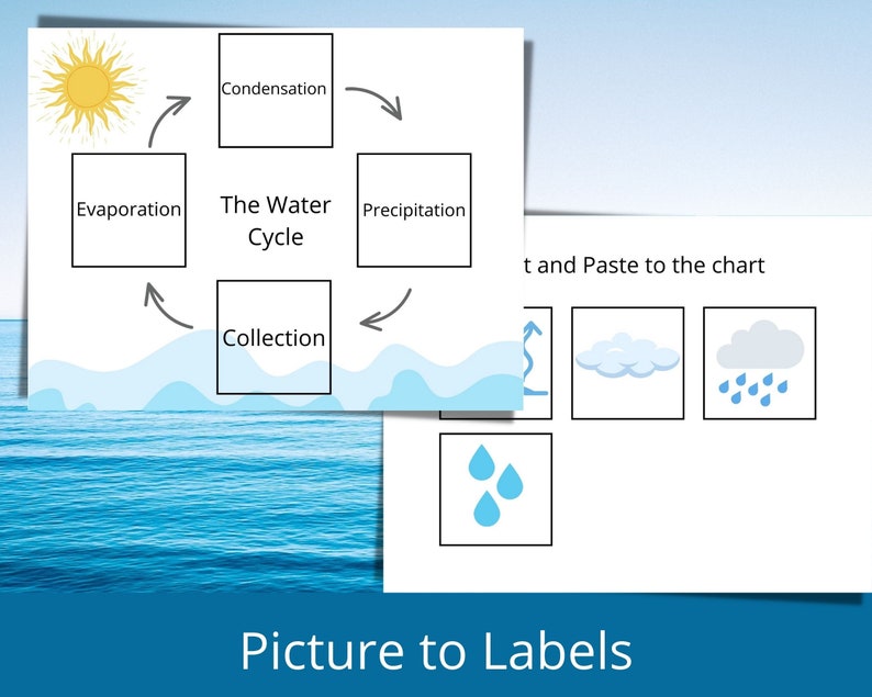 Water Cycle Activity Worksheets: Toddler Homeschool Printable (digital ...