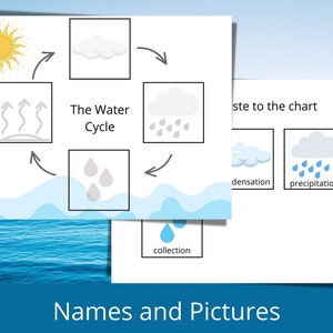 The Water Cycle Activity Worksheets for Toddler Cutting and Pasting ...