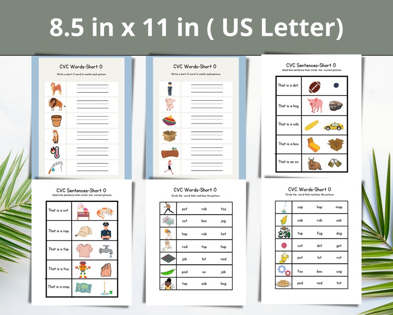 Short O CVC Words Worksheets: Kindergarten Homeschool Printable (PDF ...