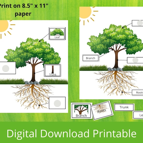 Montessori Tree of Life - Etsy