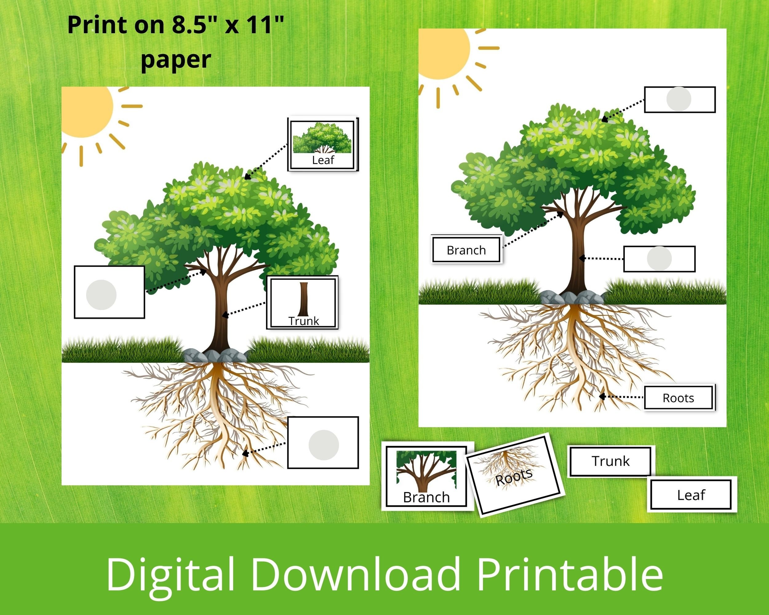Tree of Life Worksheet: Cut and Paste Activity (digital Download) - Etsy