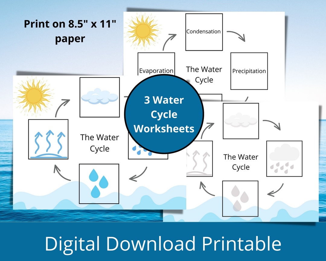 Water Cycle Activity Worksheets: Toddler Homeschool Printable (digital ...