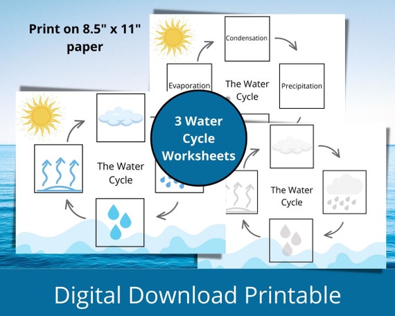 Hoja De Trabajo Sobre El Ciclo Del Agua