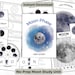 Moon Phase No Prep Study Unit Moon Phase Science Activity Outer Space ...