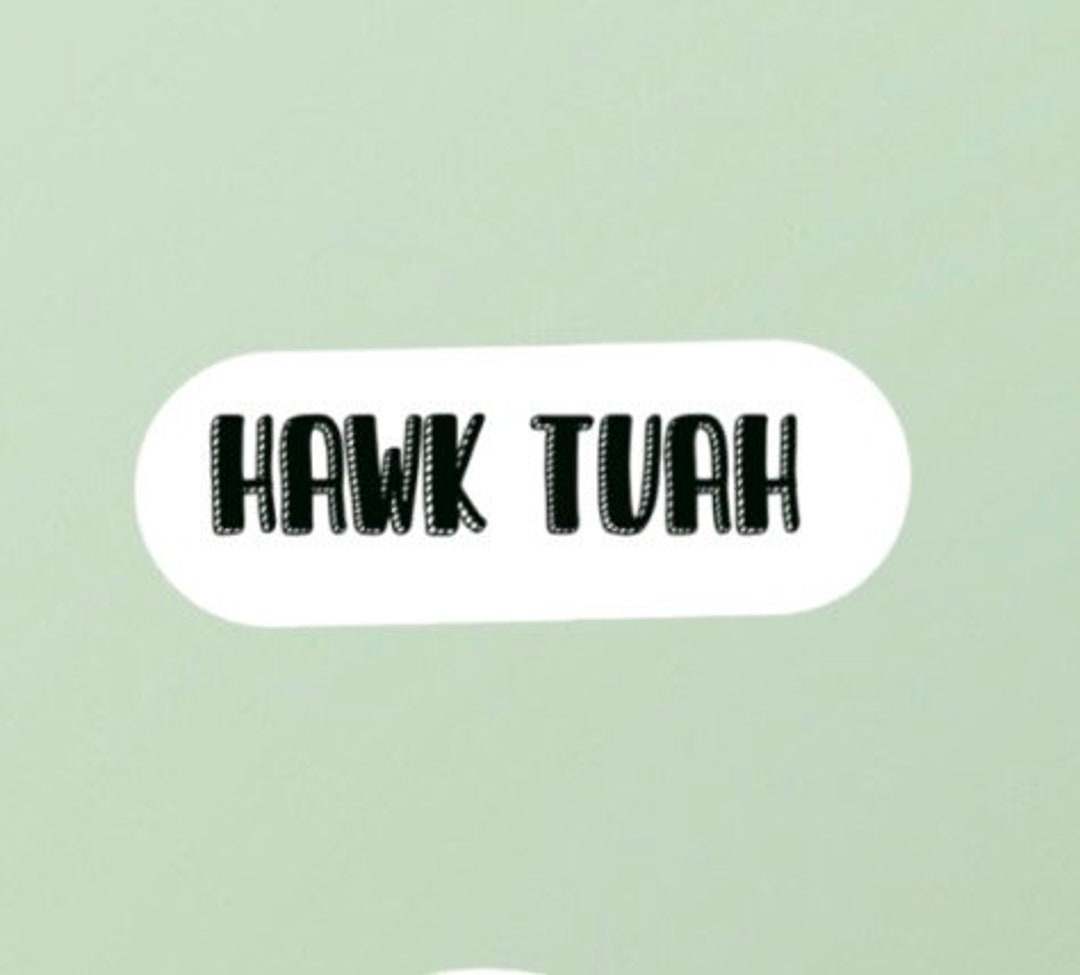 Hawk Tuah Sticker, Haylee Sticker, Haley Welch, Trending Sticker, Vinyl ...