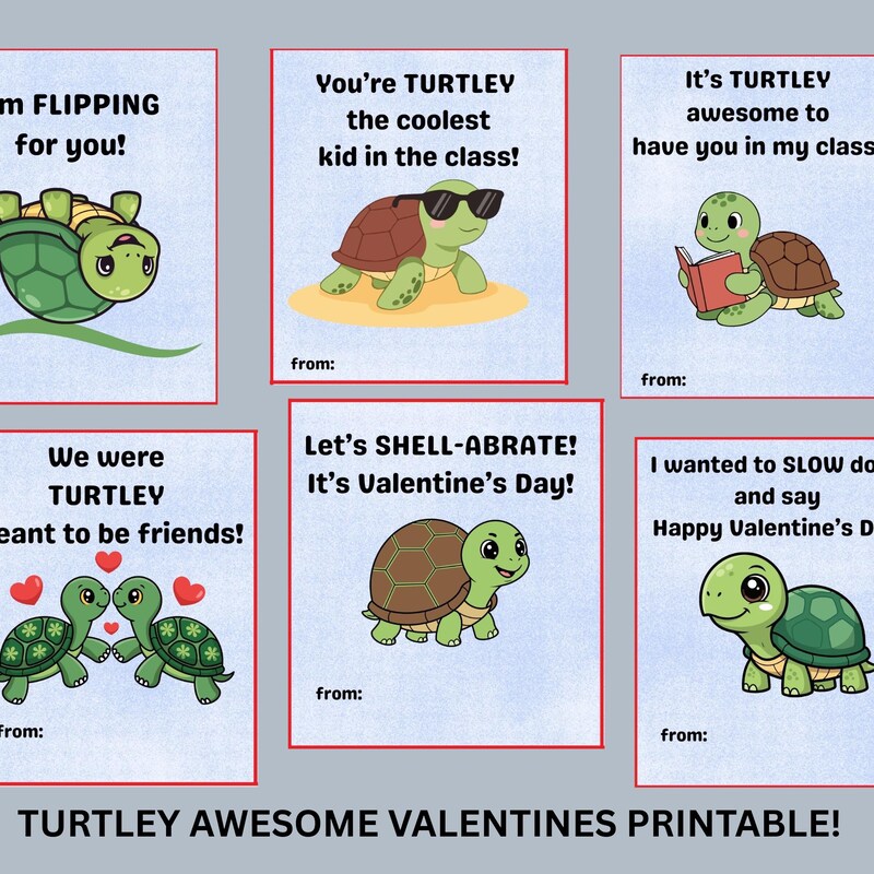 Turtle Valentine - Etsy