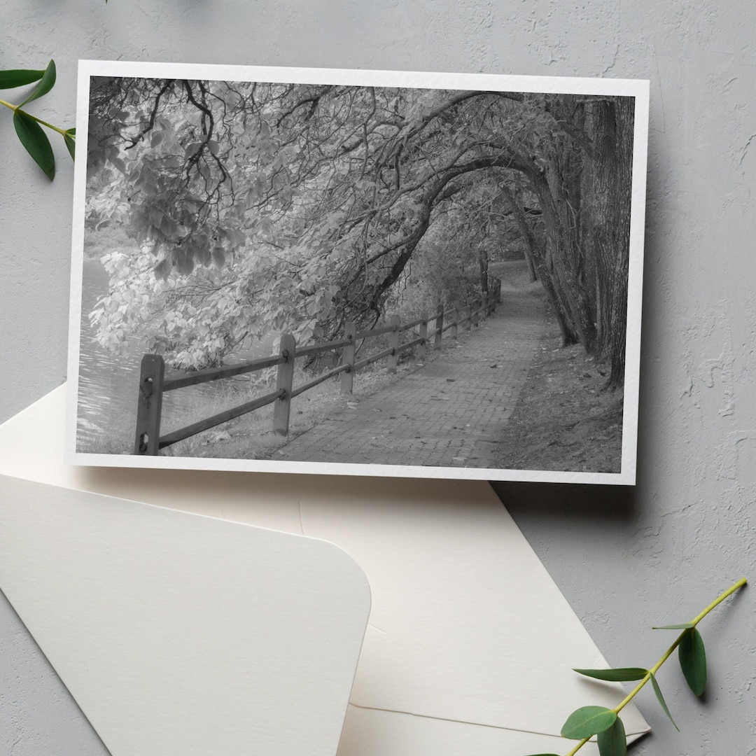Black and White Photo Note Cards, Set of 10 Note Cards With Envelopes ...