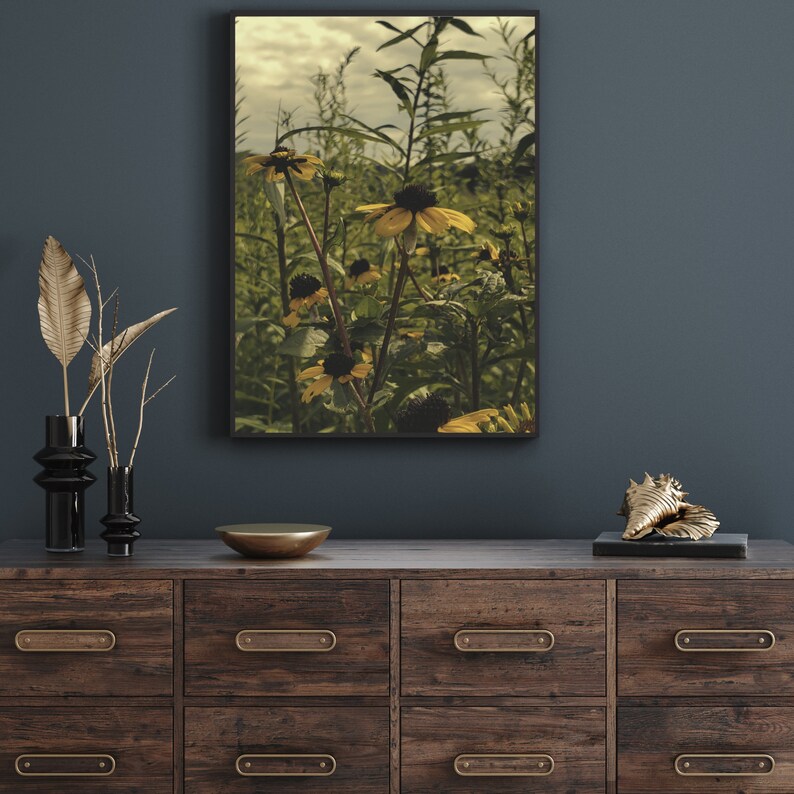 Black Eyed Susan Vintage Photo Printable Black Eyed Susans in - Etsy