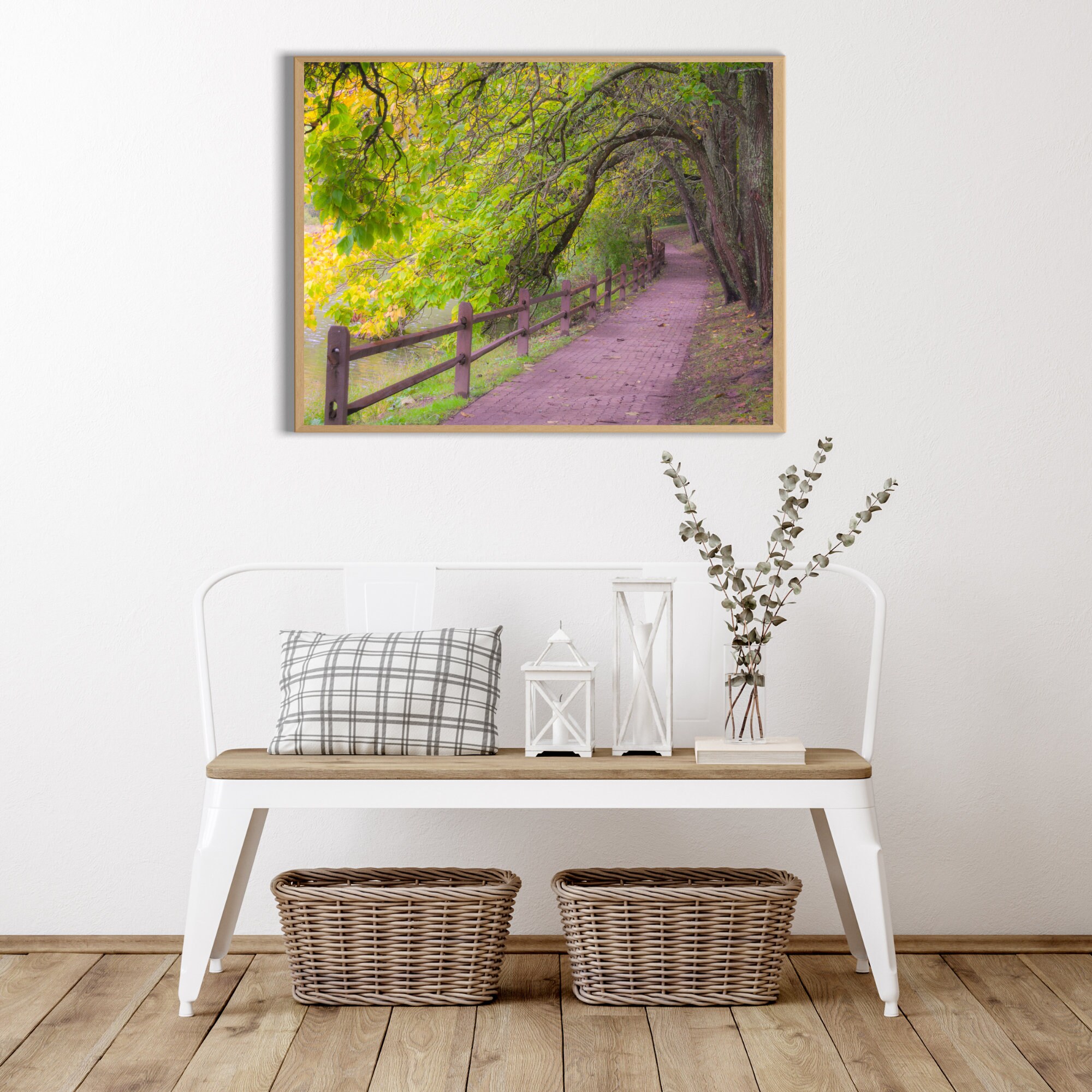 Fall Photo, Photo of a Tree Draping Over a Fence, Cascading Tree Photo ...