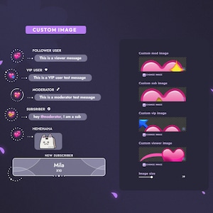 Multistyle Chat Widget + Minimal Version | 6 Decor Options | Twitch - Etsy