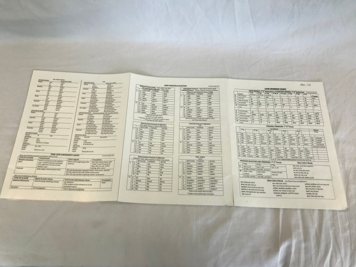 Latin Grammar Tri-fold Chart Based on Henle Latin Grammar - Etsy