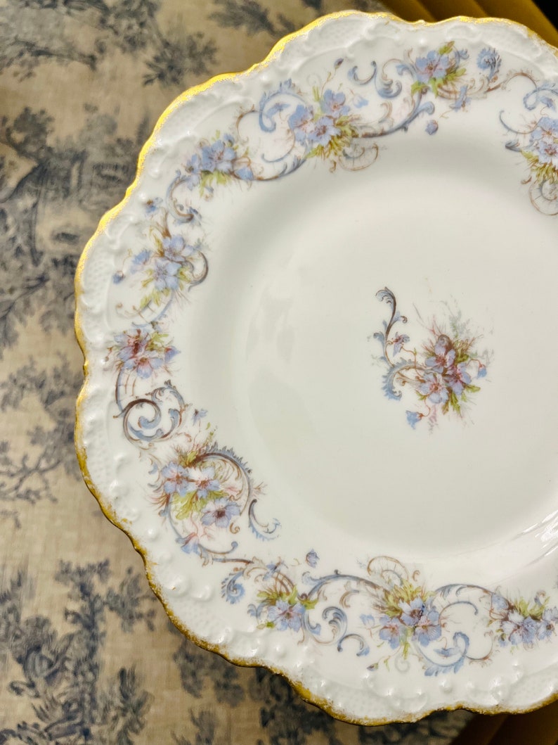 RARE! Limoges A.lanternier France, Lunch/dinner/dessert Plate With ...