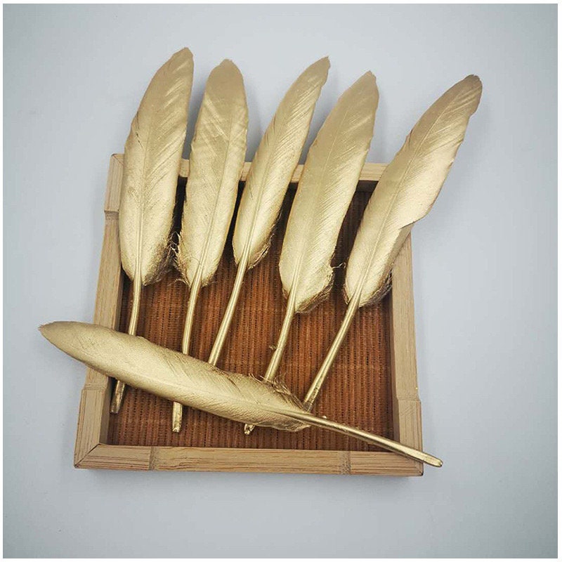 Feather Spray - Etsy