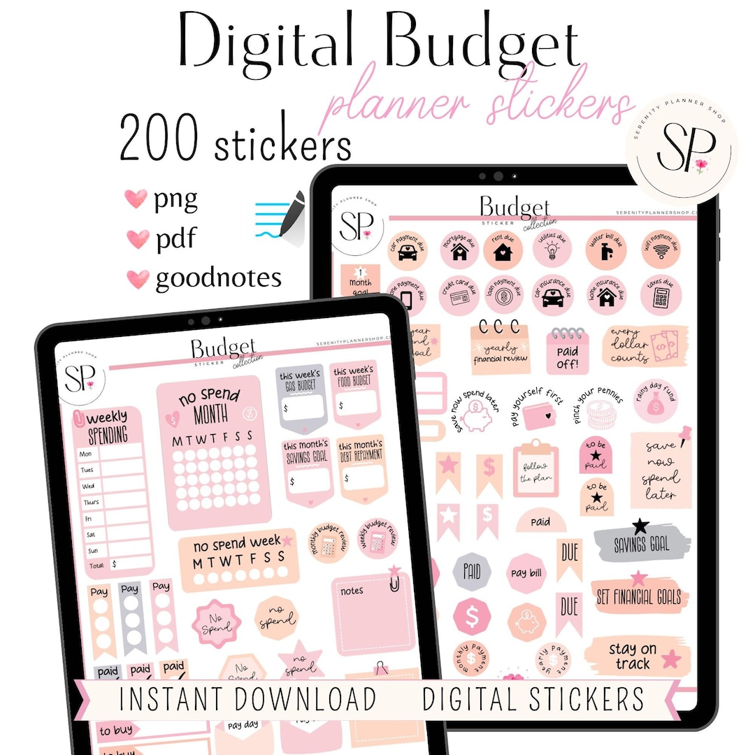 Digital Budget Stickers for Planners Track Income Expenses Spending ...