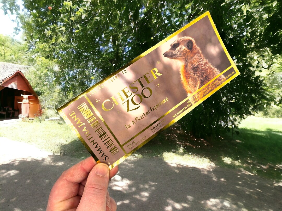 Meerkat Experience, Zoo or Safari Trip Voucher, Personalised Foil ...