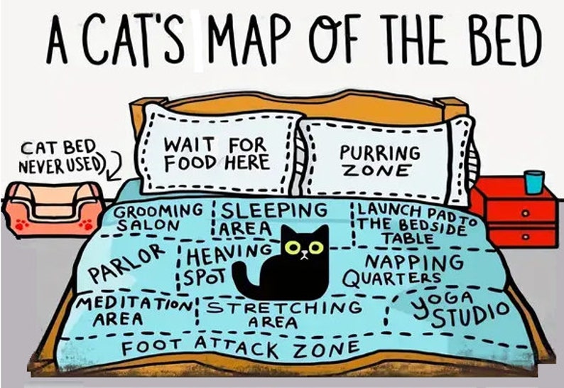 Whimsigoth A Cats Map of the Bed Printable Cottage Core Retro Style ...