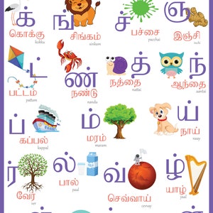 Tamil Alphabet Wallcharts (printed), Vowels, Consonants & Numbers - Etsy