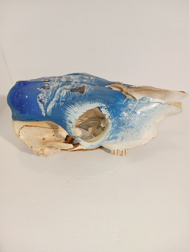 Painted Cow Skull Native American Artist Signed - Etsy
