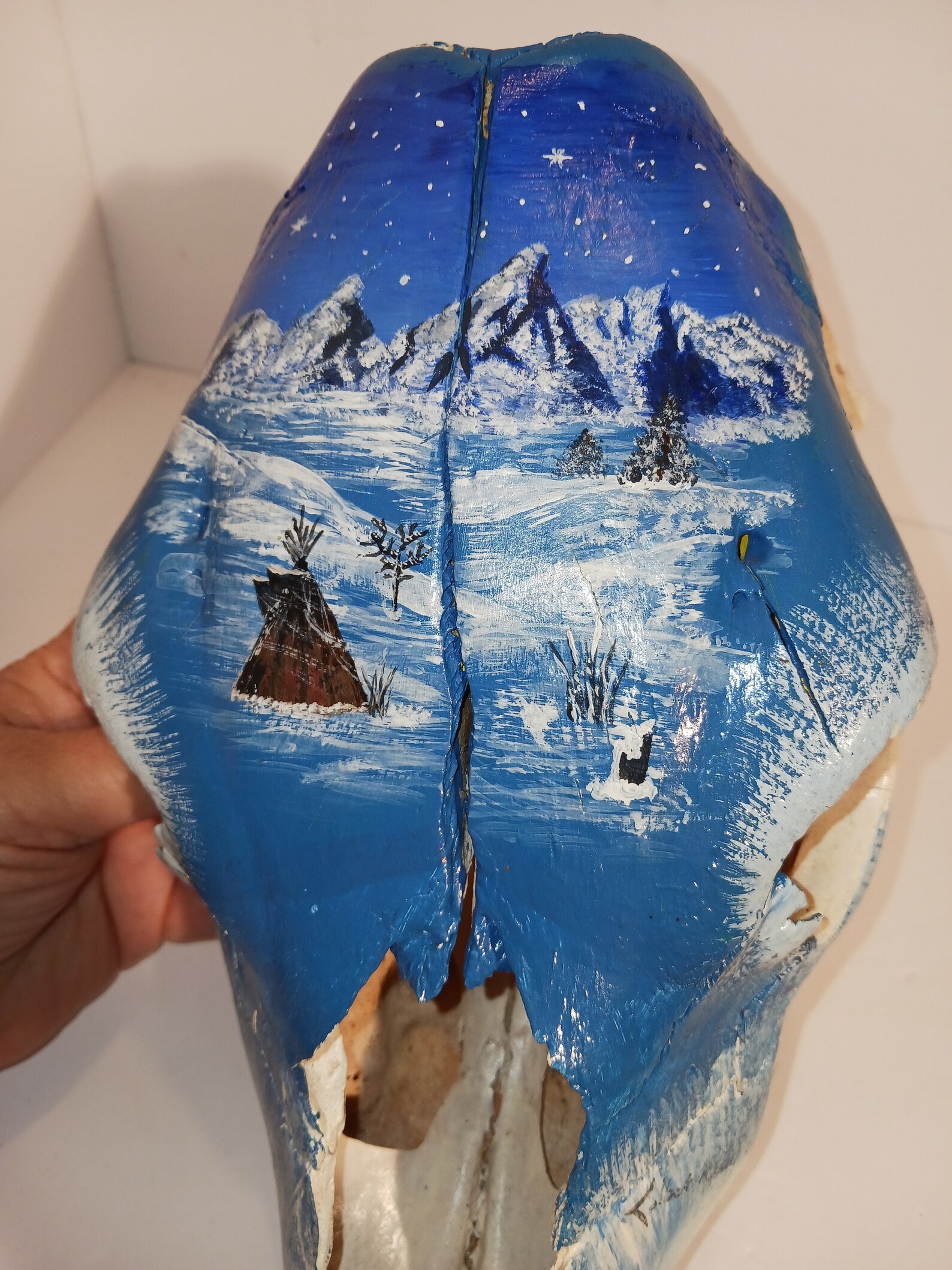 Painted Cow Skull Native American Artist Signed - Etsy