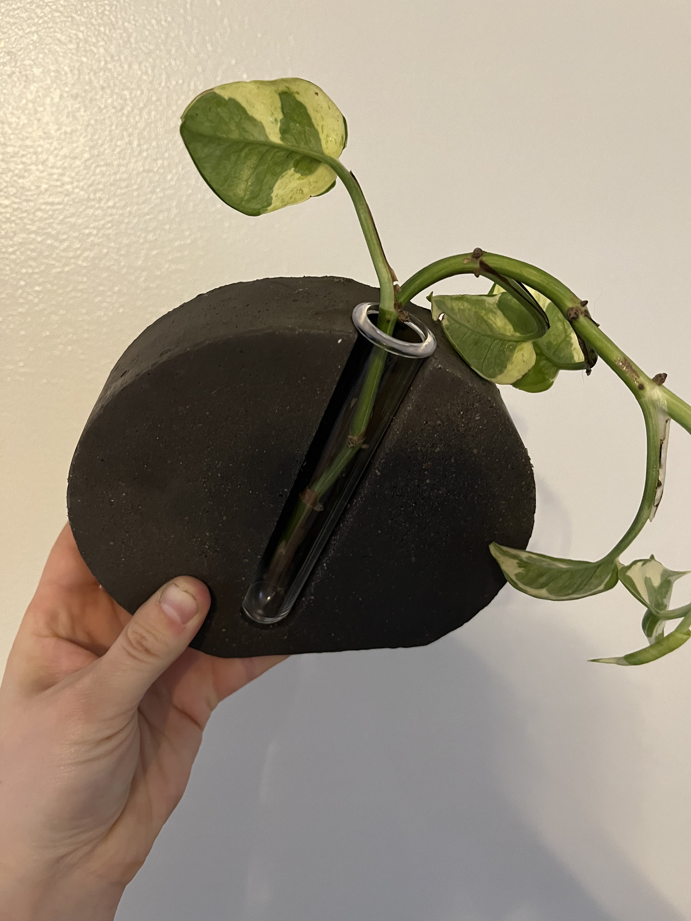 Concrete Black Propagation Station - Etsy