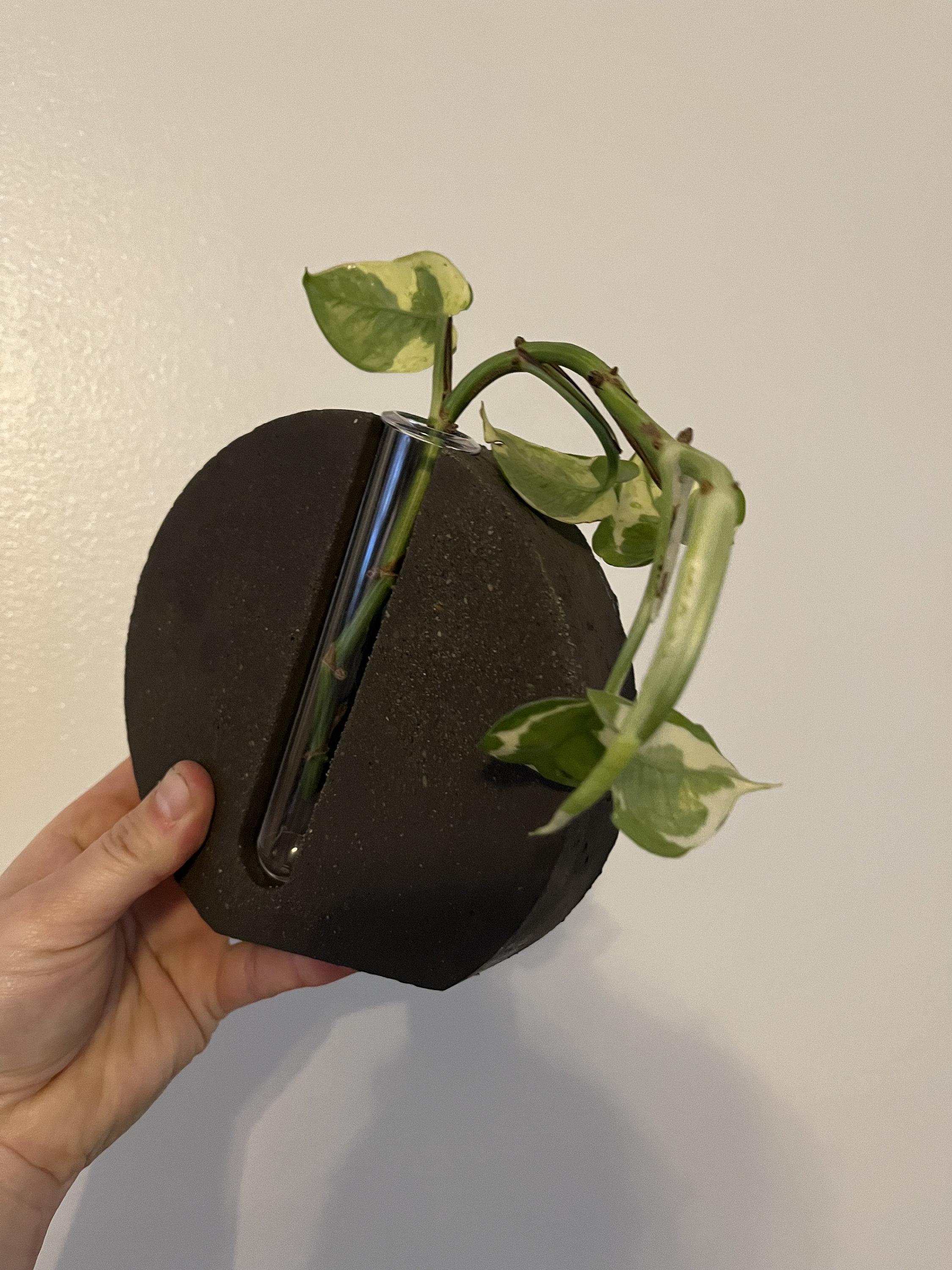 Concrete Black Propagation Station - Etsy