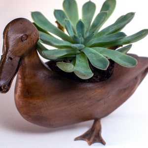 Original Duck Bowl, Flower Pot, Succulent Planter, 3D Printed, Wooden ...