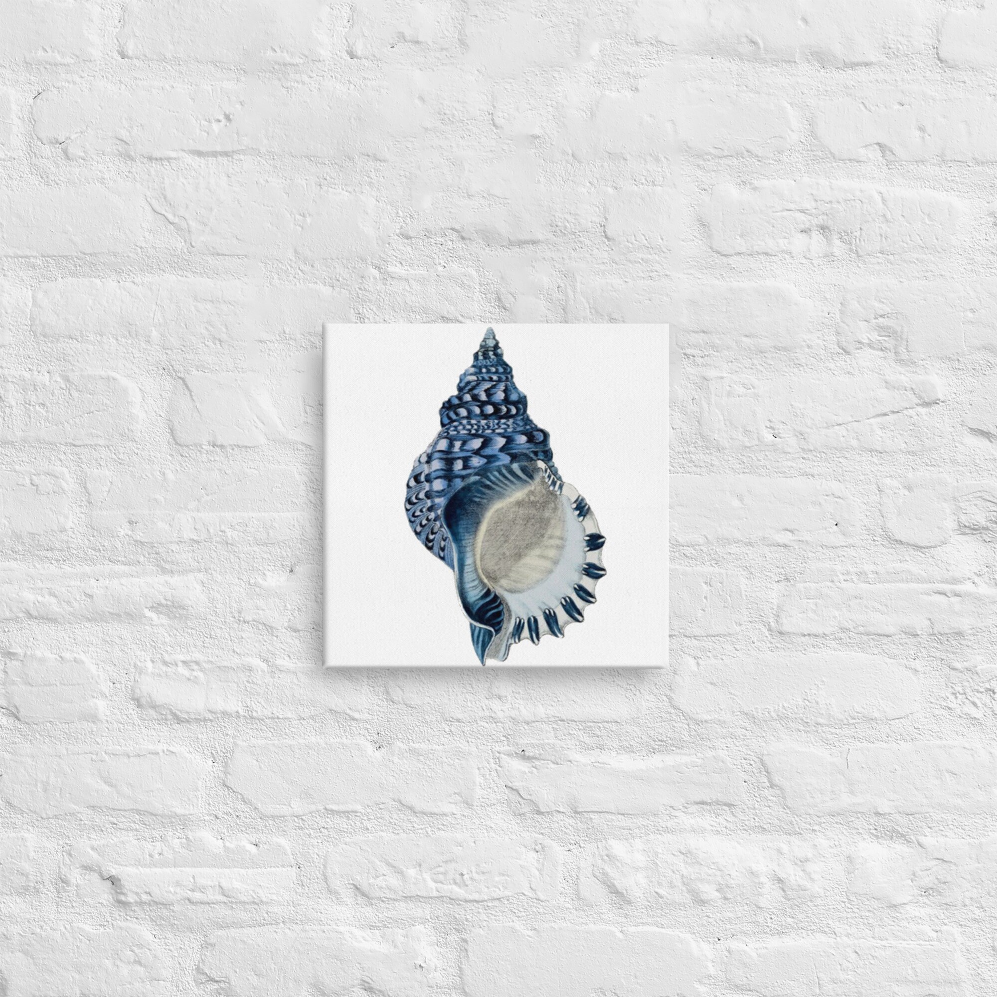 Indigo Blue Conch Shell Digitally Enhanced Vintage - Etsy