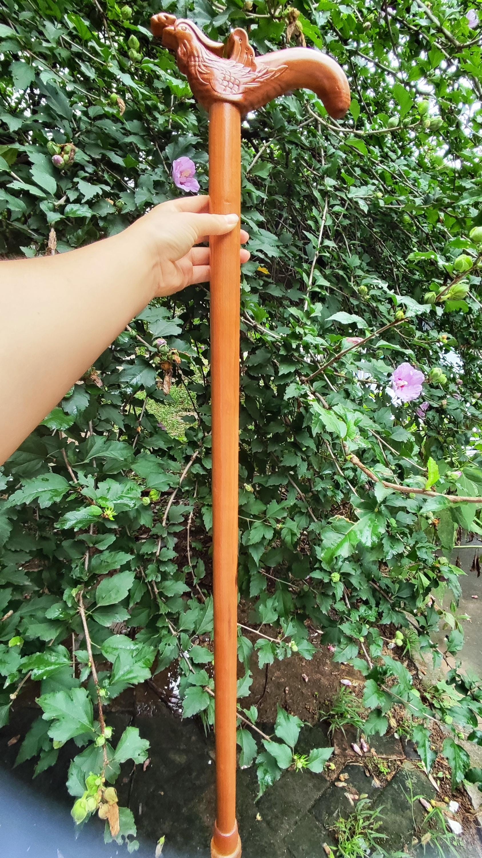 Solid Wood Vintage Bird Cane Walking Stick Hand Carved Bird Crutch Cane ...