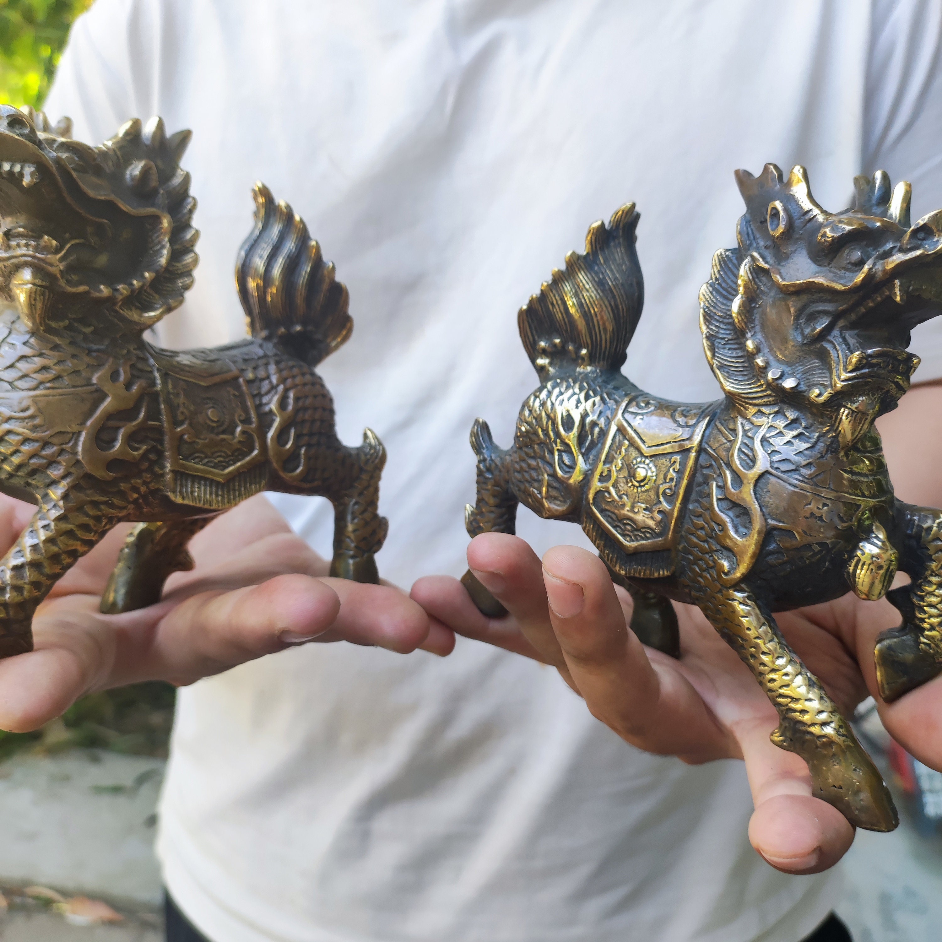 Pair of Brozen Feng Shui Chi Lin Qilin Kei Loons Dragon Horse Heavenly ...