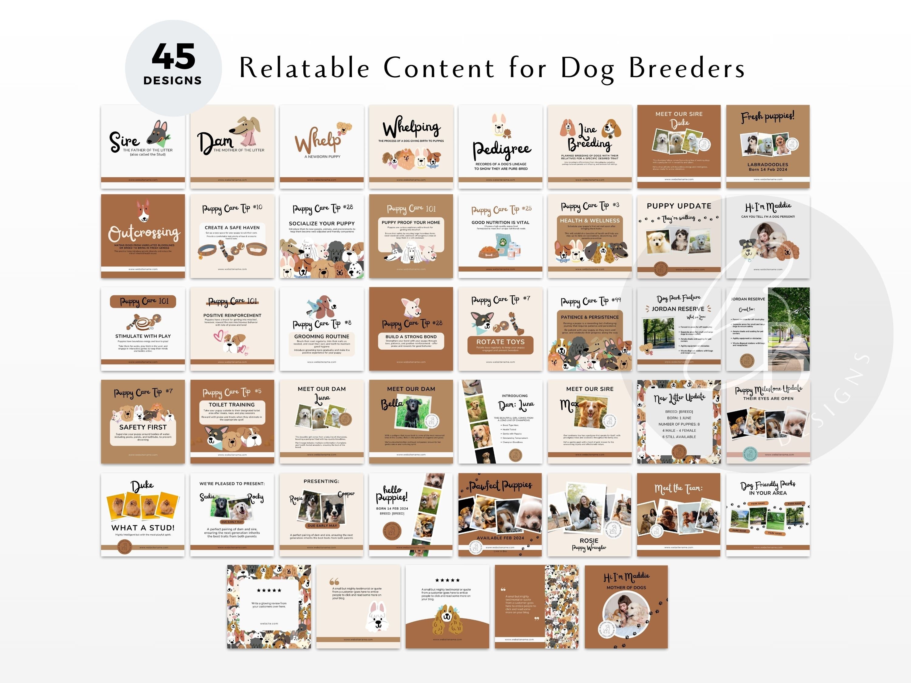 Dog Social Media Template Bundle, Instagram Posts, Editable Canva ...