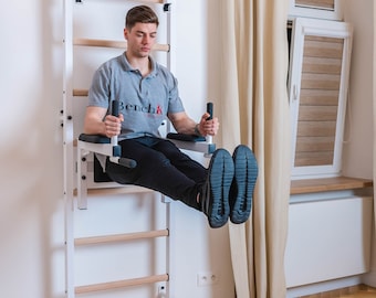 Benchk Wall Bars With a Fixed Steel 6-grip Pull-up Bar and a Dip Bar ...