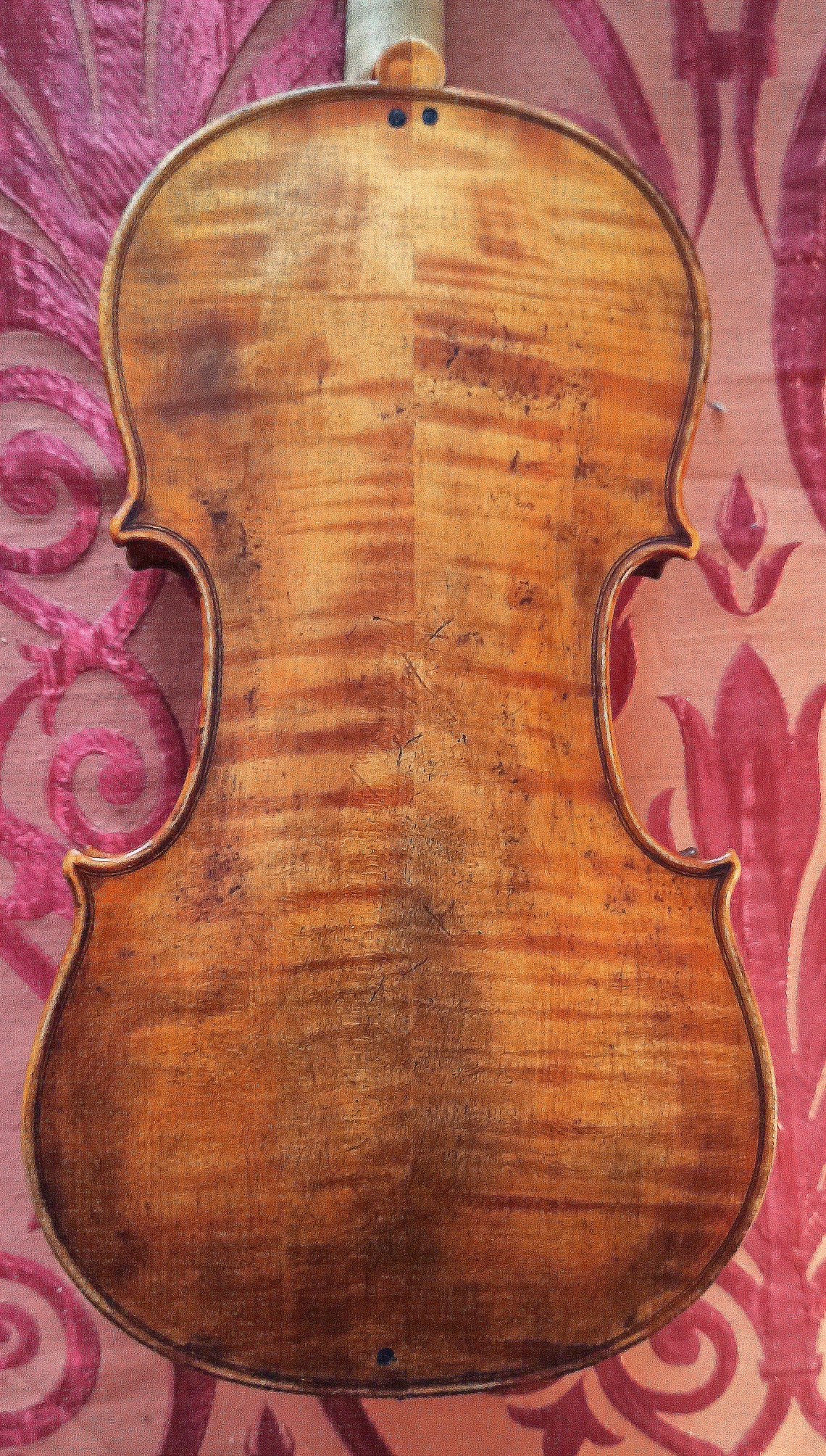 VIOLIN PETRUS GUARNERIUS 4/4 With Label - Etsy