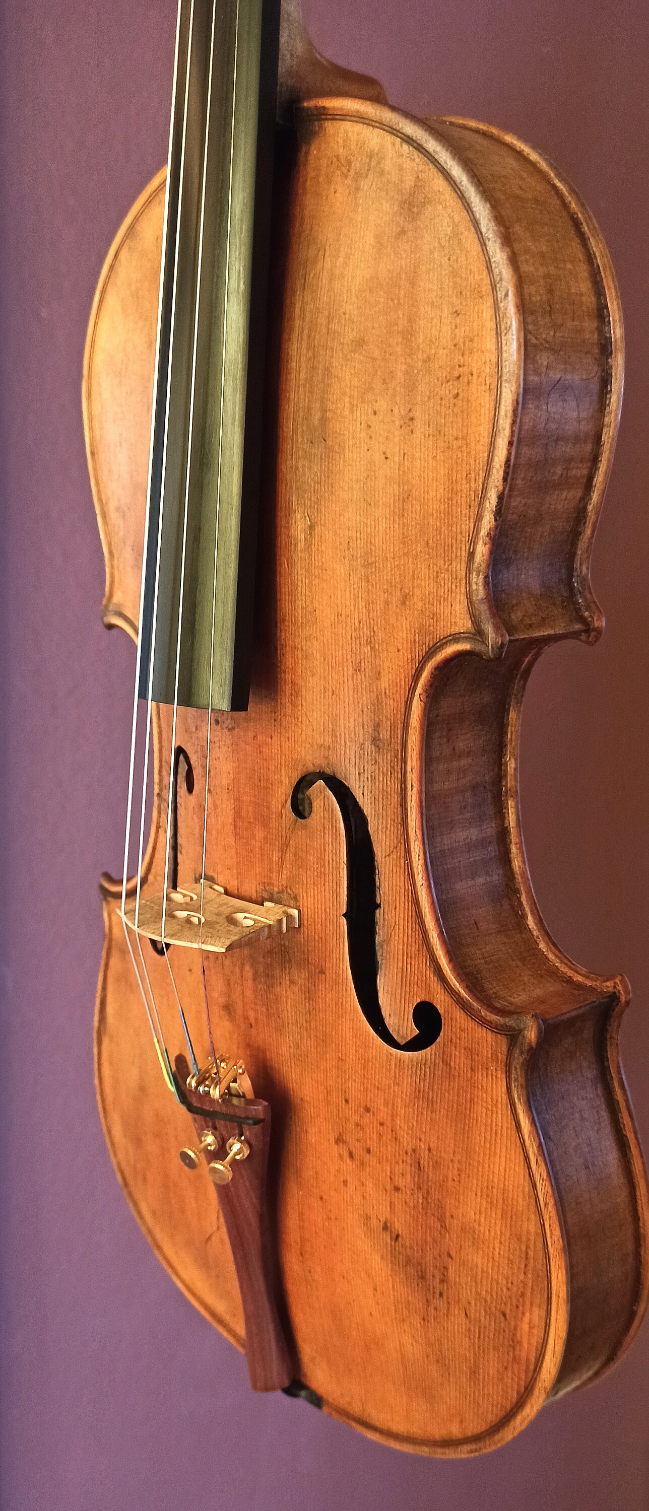VIOLIN PETRUS GUARNERIUS 4/4 With Label - Etsy