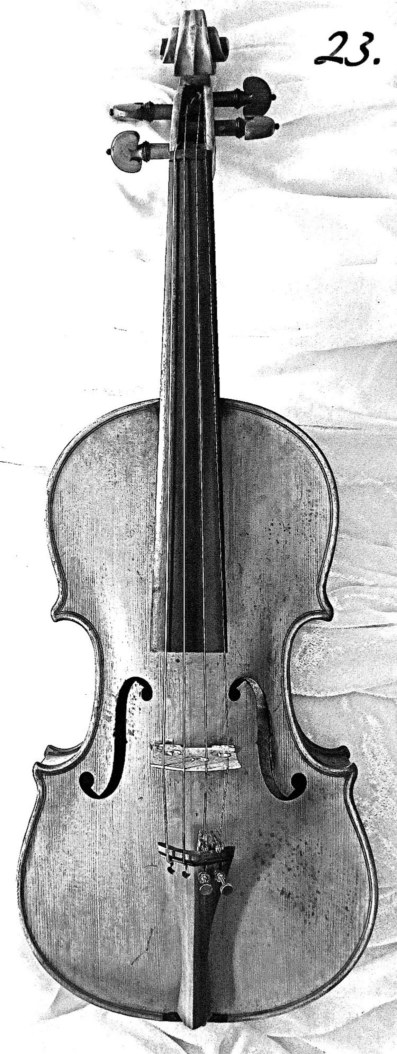 VIOLIN PETRUS GUARNERIUS 4/4 With Label - Etsy