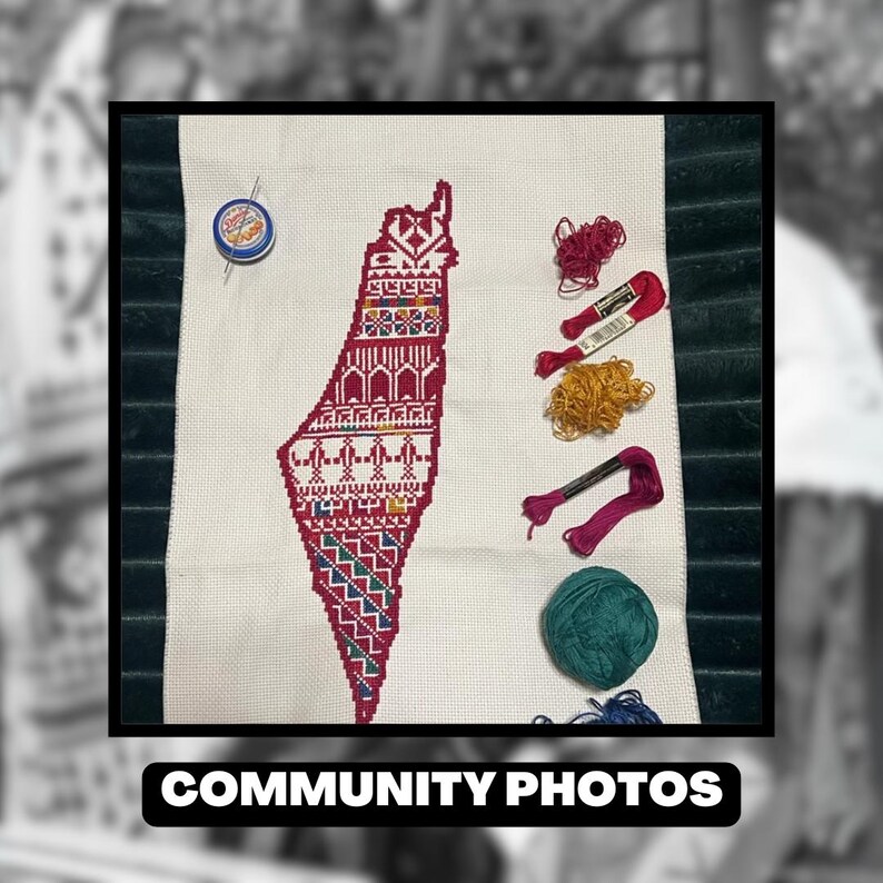 Map of Palestine Tatreez Pattern - Etsy