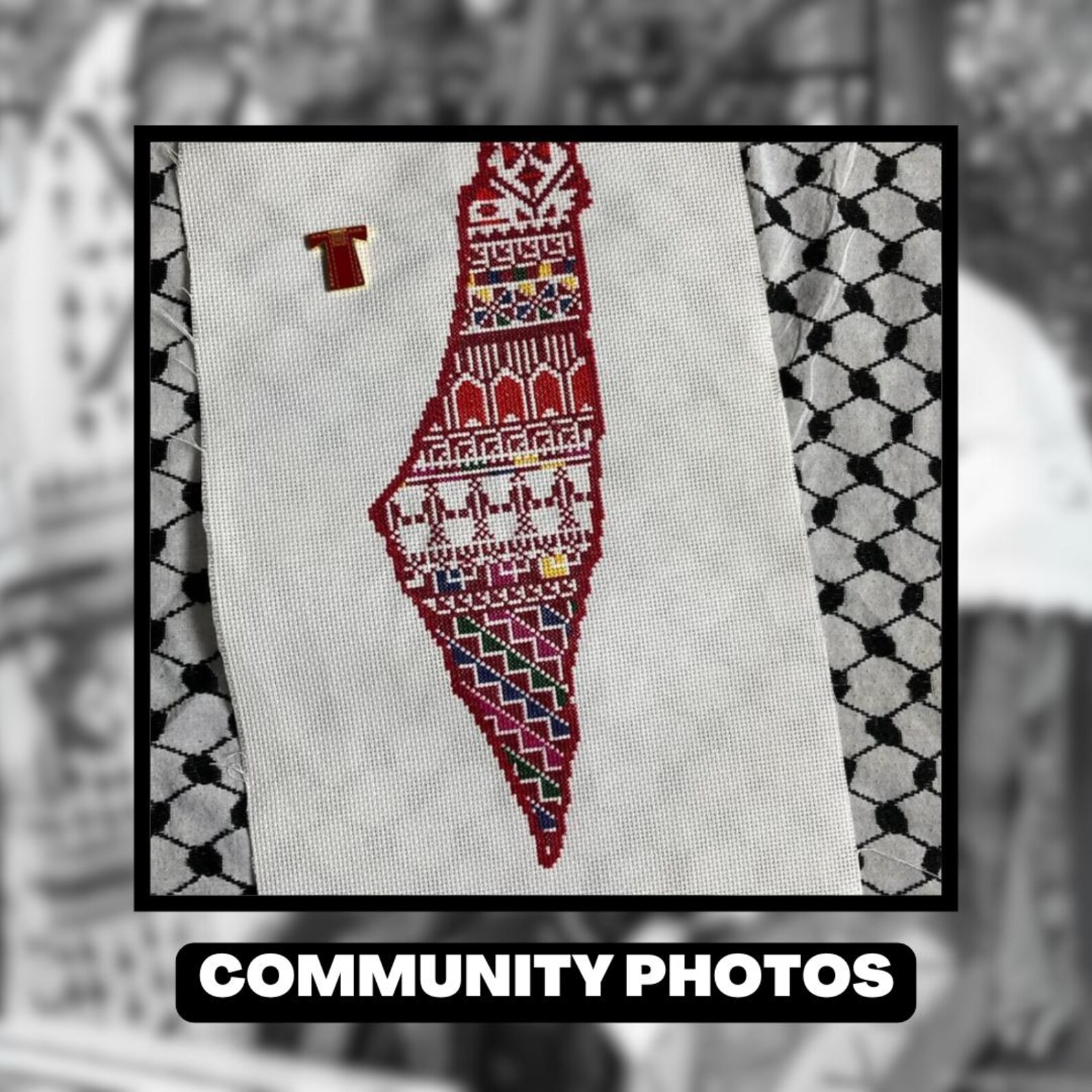 Map of Palestine Tatreez Pattern - Etsy