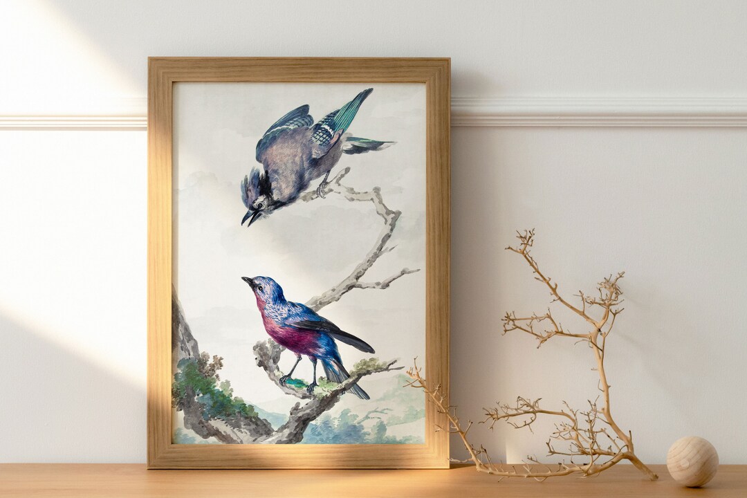 Vintage Colourful Birds Poster Prints, Printable Downloadable Wall Art ...