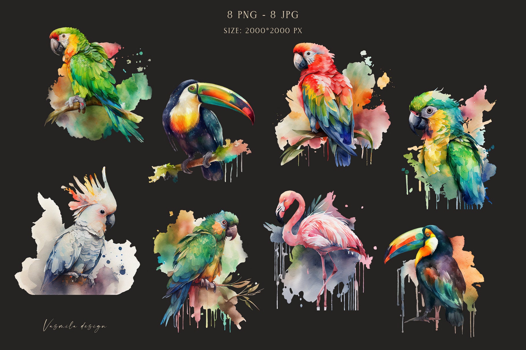 Watercolor Tropical Birds PNG, Parrot Flamingo Illustrations ...