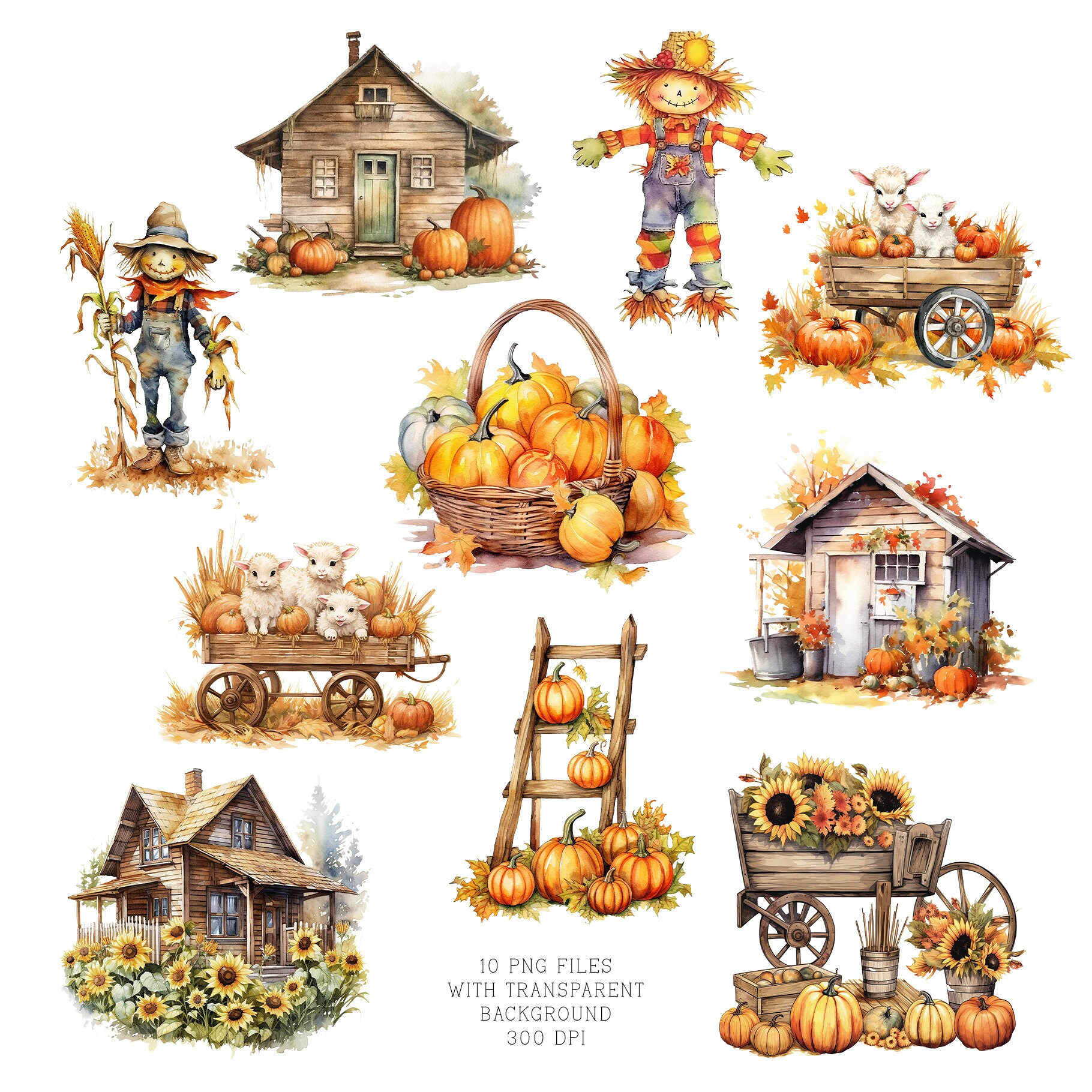 Watercolor Autumn Farm Clipart: Thanksgiving Pumpkins PNG (digital ...