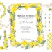 Mimosa Flowers Borders Frames PNG, Spring Yellow Floral Garlands ...