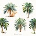 Watercolor Palm Tree Clipart PNG, Tropical Watercolor Palms, Tropical ...