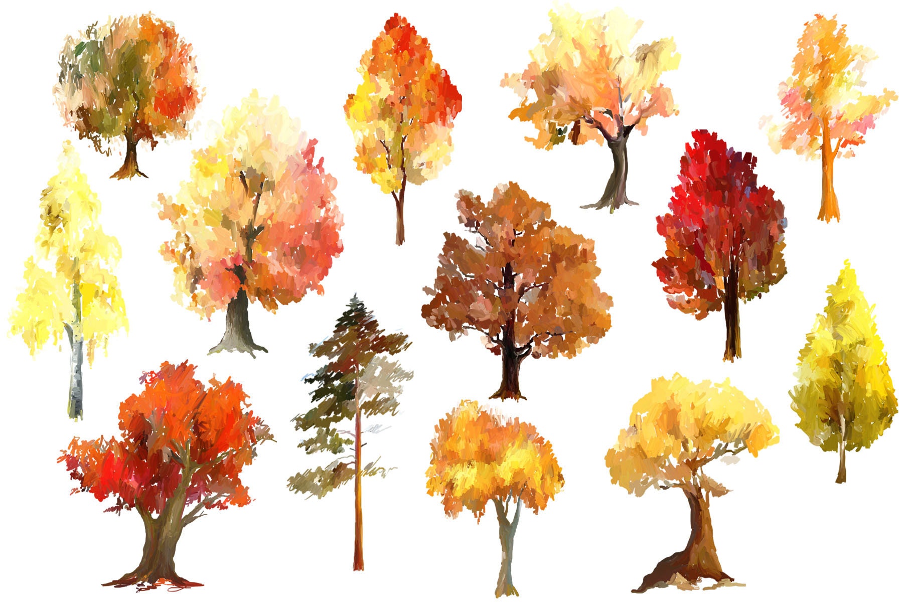 Autumn Isolated Trees PNG Forest Trees Clipart Realistic - Etsy