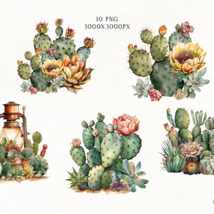 Blooming Cacti Clipart, Watercolor Cactus PNG Clipart, 10 Printable ...