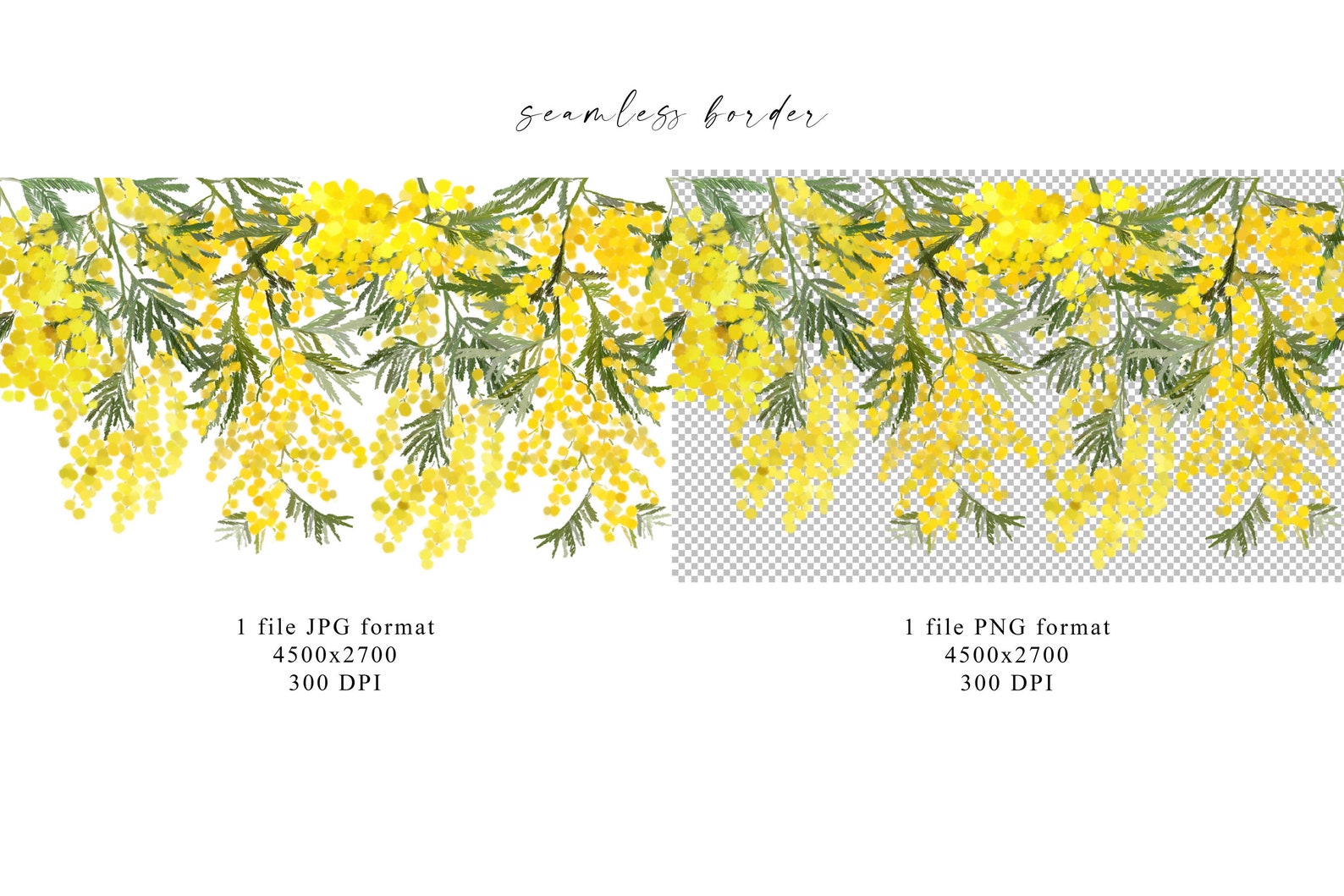 Border Mimosa Flowers PNG Floral Yellow Garland Flower - Etsy