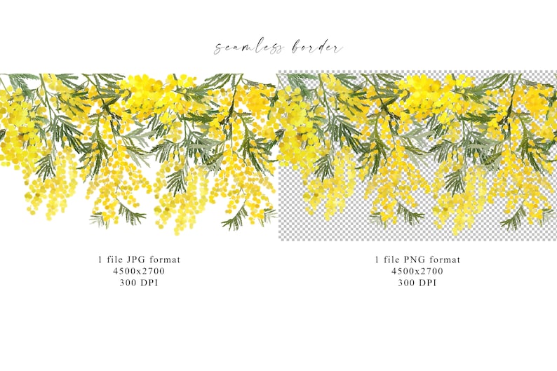 Border Mimosa Flowers PNG Floral Yellow Garland Flower - Etsy