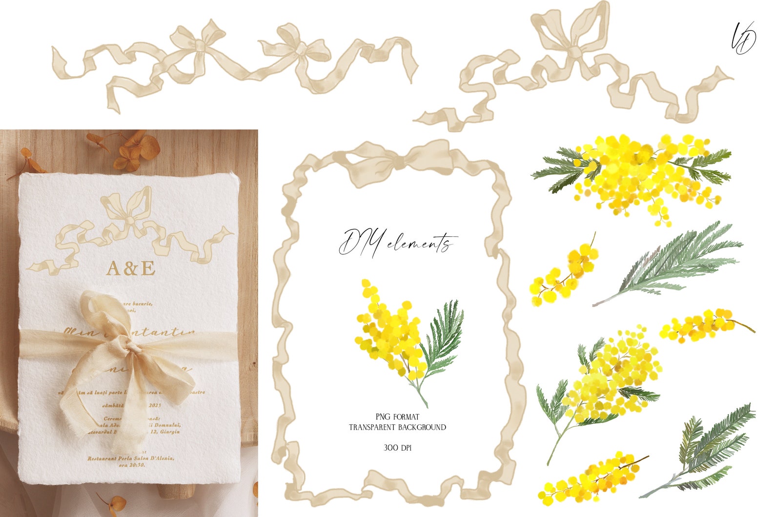 Mimosa Flowers Borders Frames PNG, Spring Yellow Floral Garlands ...