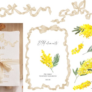 Mimosa Flowers Borders Frames PNG, Spring Yellow Floral Garlands ...