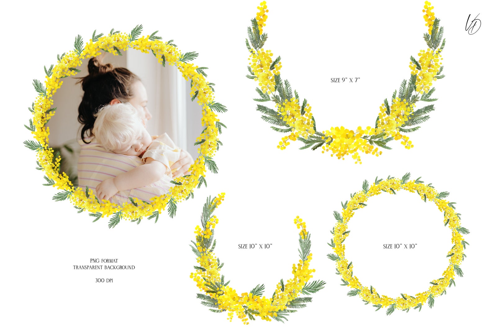 Mimosa Flowers Borders Frames PNG, Spring Yellow Floral Garlands ...