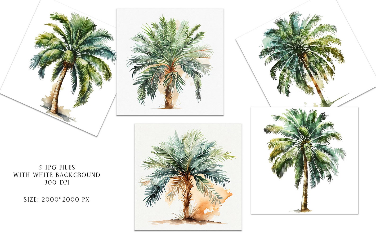 Watercolor Palm Tree Clipart PNG Tropical Watercolor Palms - Etsy